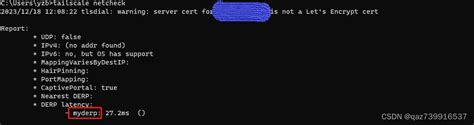 tailscale添加drepdocker docker derp CSDN博客