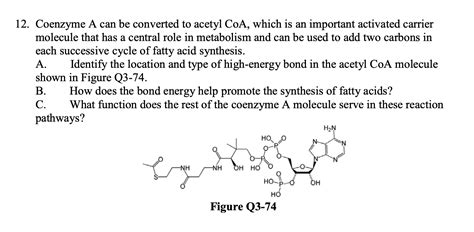 Solved Coenzyme A Can Be Converted To Acetyl CoA Which Chegg