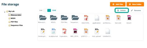 Deleting Files And Folders