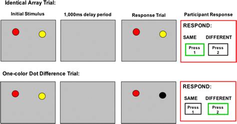 Example Of Visual Working Memory Task 2 Dot Condition Task Adapted Download Scientific Diagram