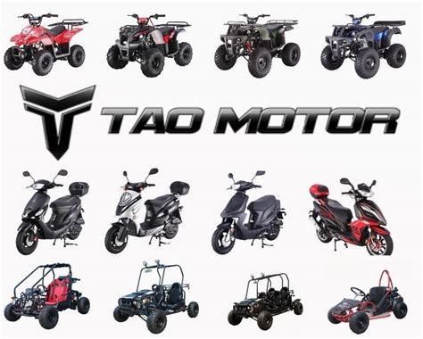 Taotao Parts Direct Oem Replacement Parts