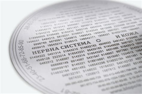 Нервна система и кожа Радиестезия