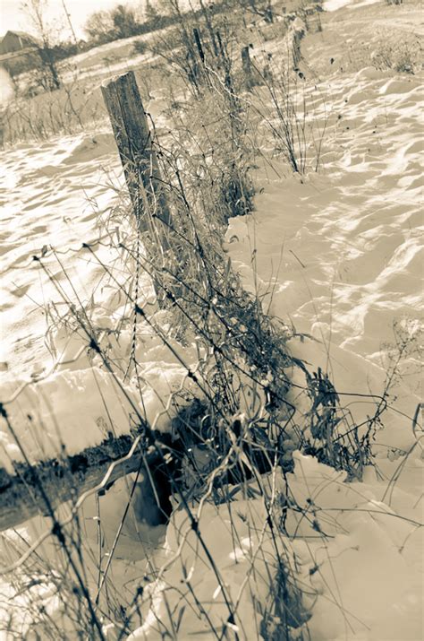 Atrophy Karissa Walker