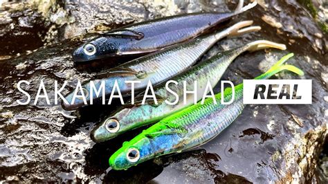 『サカマタシャッドリアル』アクションムービー Youtube