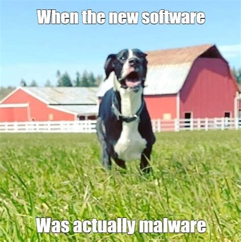 Tom Garrison On Linkedin Analysis The Dread Sincerity And Comedy Of Cybersecurity Awareness