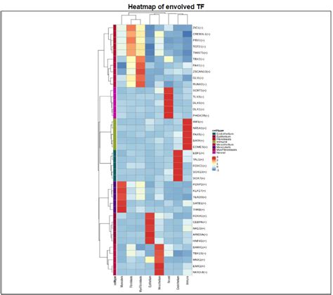 Help Spascer Spatial Transcriptomics At Single Cell Resolution