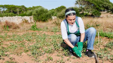 What Are Noxious Weeds And Plants Angi