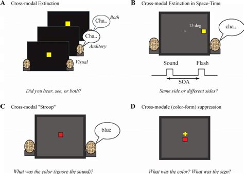 The Four Experimental Paradigms Used To Test Cross Modal Interference Download Scientific