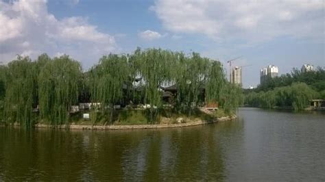 山东人口流失最多的3个城市，一个是德州，一个面积大、人口多 搜狐大视野 搜狐新闻