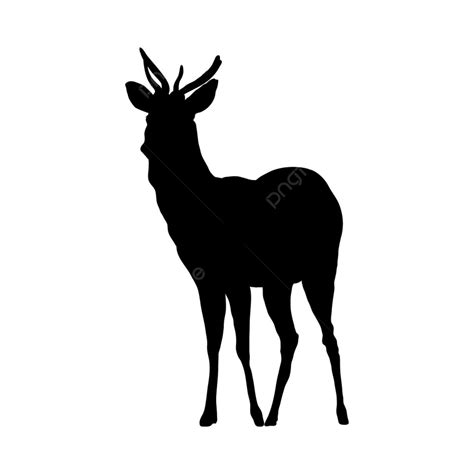 사슴 실루엣 벡터 일러스트 레이 션 높게 상 디자인 아름다운 Png 일러스트 및 벡터 에 대한 무료 다운로드 Pngtree