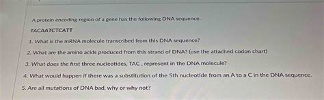 Solved A Protein Encoding Region Of A Gene Has The Following Chegg Com