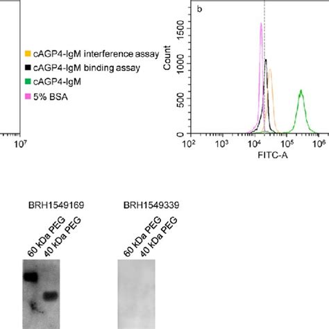 Representative Flow Cytometry Histogram Overlay Plot Showing Decreased Download Scientific