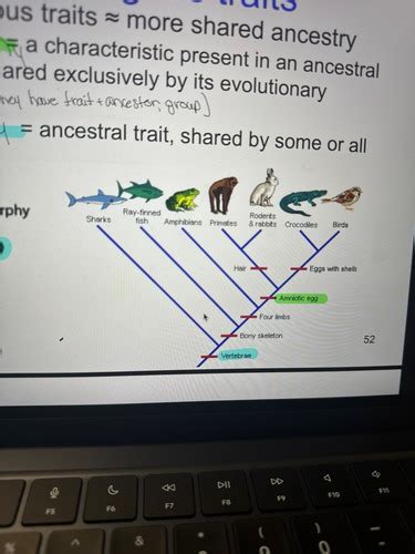 Kingdoms And Life Flashcards Quizlet