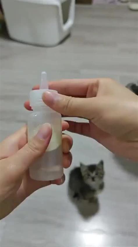 Hungry Album On Imgur