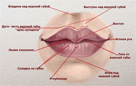 Рисуем губы • EstPortal Doll Eyes, Doll Face, Polymer Clay Creations ...