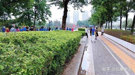 沈阳铁西区劳动公园改造归来喜迎七一 知乎