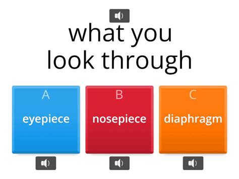 Microscope Parts And Functions Quiz