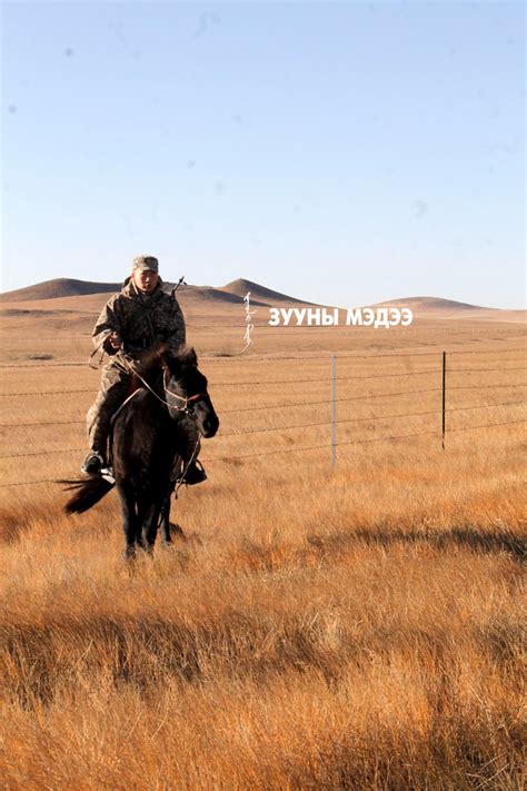 Фото Монгол Улсын хил тайван байна