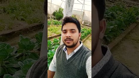 Hum Middle Class Log He Shortsfeed Youtube