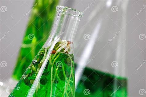 Research And Biotech Science Scientists Are Developing Research On
