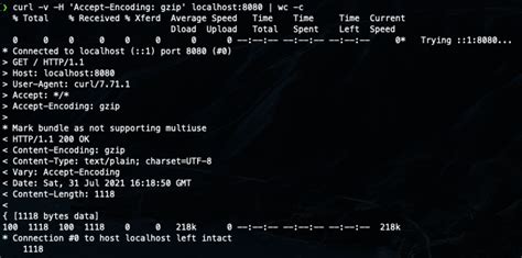 Api Response Compression In Nodejs Express And Go Echo By