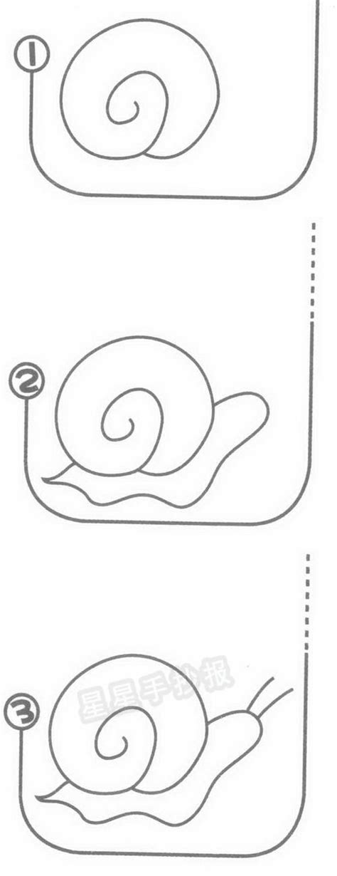 Snail