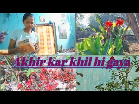 Product Acha Aya Akhir Kar Phool Khil Hi Gaya Daily Vlog YouTube
