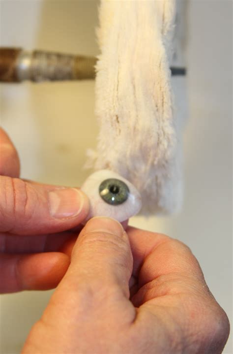 Importance Of A Prosthetic Eye Polishing Ocular Prosthetics Inc