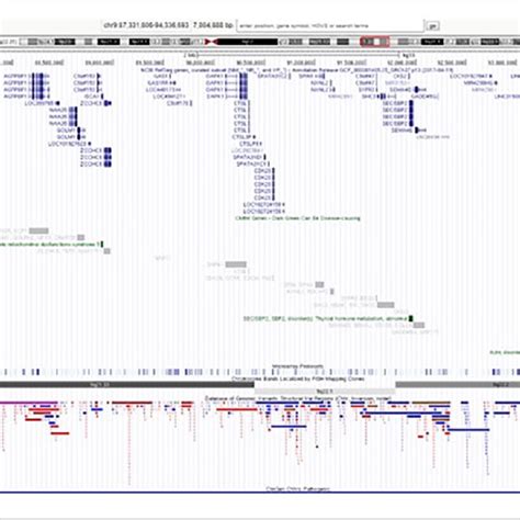 The Size Extent And Genomic Content Of The Deletion In This Patient Download Scientific