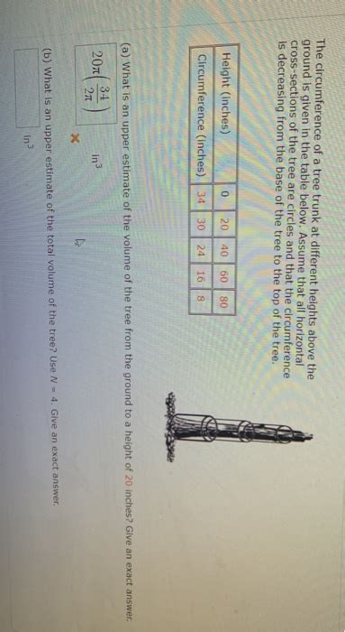 Solved The Circumference Of A Tree Trunk At Different