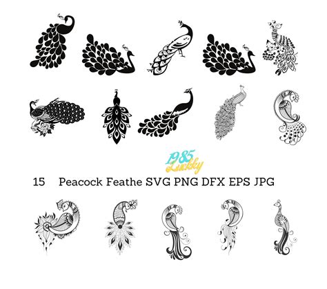 15 Peacock Svg Peacock Feather Svg Bird Svg Peacock Clipart Peacock