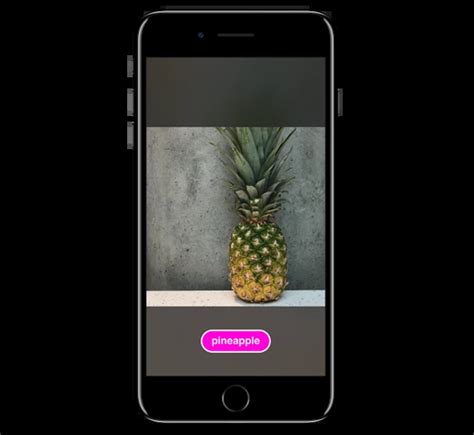 customvision ai code free automated machine learning for image