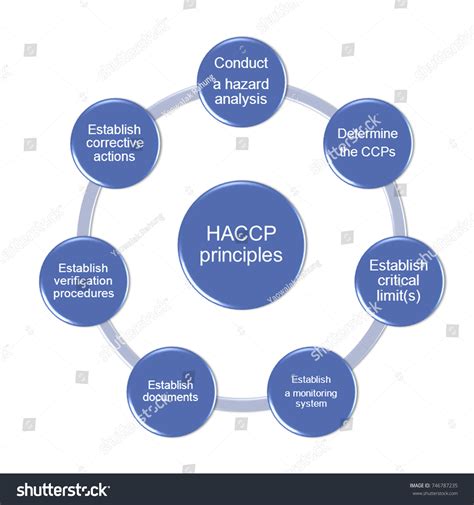 Haccp 7 Principles Over 17 Royalty Free Licensable Stock Illustrations