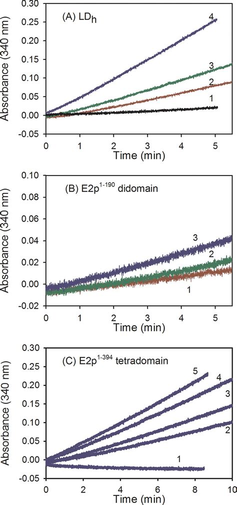 Progress Curves For Nadh Production In The Pdhc Reaction The E2p Was
