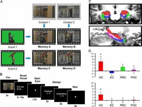 Decoding Overlapping Episodic Like Memories Chadwick Et Al 2011 Download Scientific