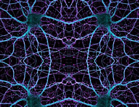 Datos Freak Curiosidades Datos Curiosos Distancia Total De