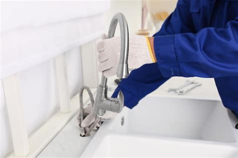 서부 물수리 이미지 Freepik에서 무료 다운로드