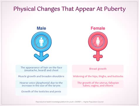 Puberty