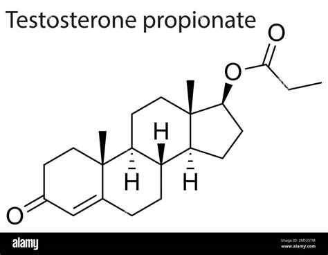 Testosterone Diagram