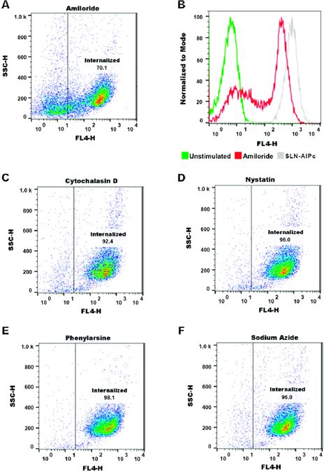 Endocytosis Pathway Characterization Using Different Endocytosis