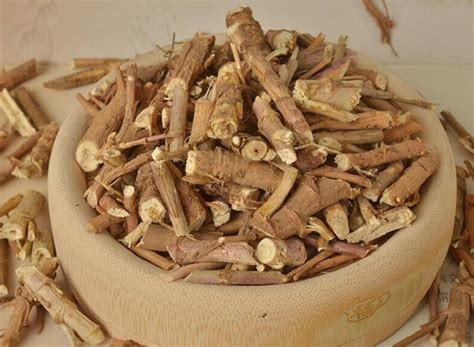 药草柴胡 西部文化网