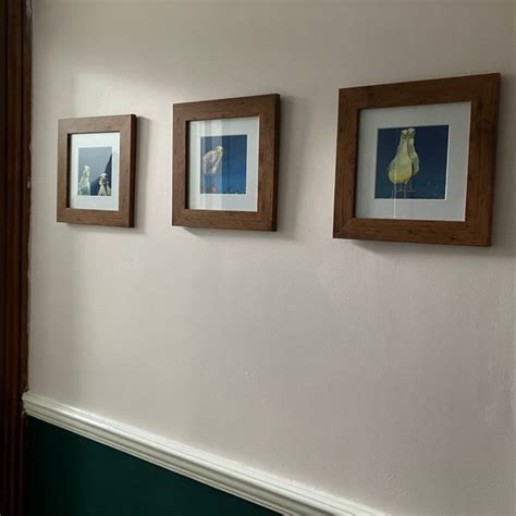 Blank Card Seagull Art Greetings Cards Funny Humour Birthday