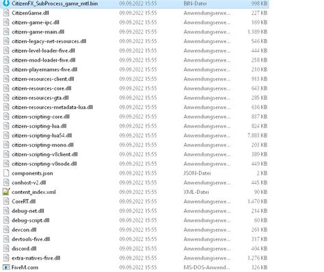 Cant Start Fivem Fivem Client Support Cfxre Community