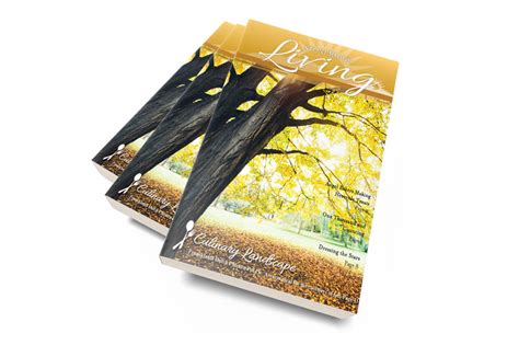 5 Most Popular Binding Options For Print Projects Colortech Inc Creative Solutions