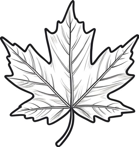 Ai Generated Maple Leaf Clipart Clipart 36521187 Png