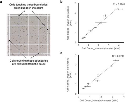 A Representative Image Of Hemocytometer Grid Taken For Traditional Download Scientific Diagram