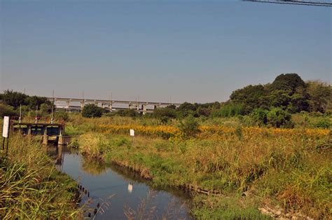 埼玉県伊奈町 伊奈氏館跡に行ってきました① 霊園とお墓のはなし