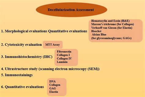 Types Of Decellularization Assessment Download Scientific Diagram