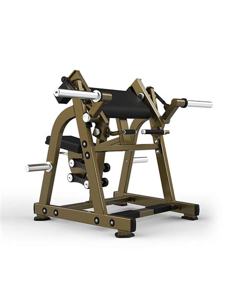 Bicep Curl Hs Pro 1005 Into Wellness