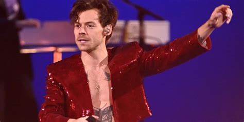 Harry Styles Stops Show To Give Concert Goer Some Sage Advice On Her